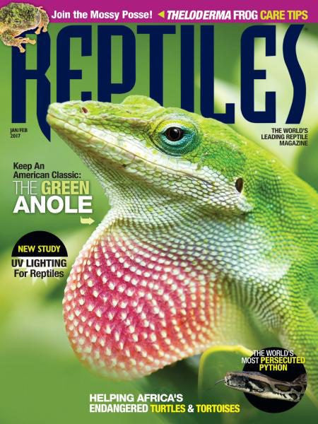 Reptiles – MagMall